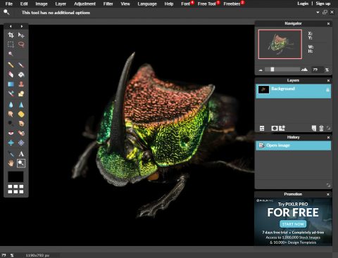 15 Best Free Online Photo Editor - Vectorise